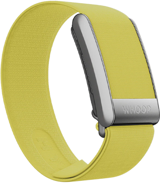 Get Whoop Bands | 100+ Available |TaMiMi Projects in Qatar