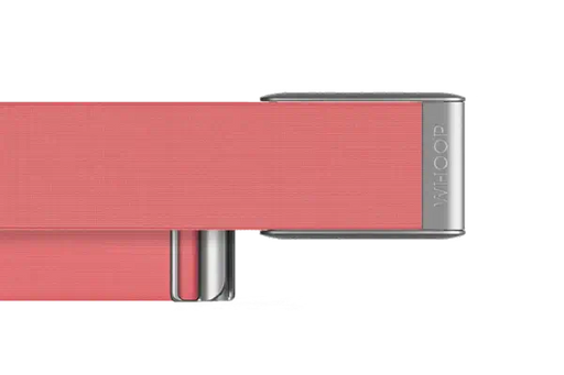 Get Whoop Bands | 100+ Available |TaMiMi Projects in Qatar