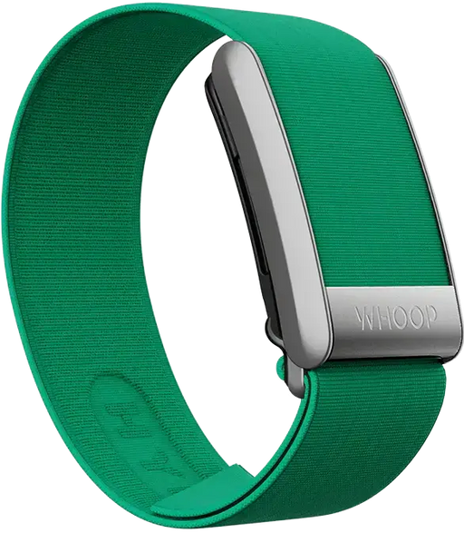 Get Whoop Bands | 100+ Available |TaMiMi Projects in Qatar